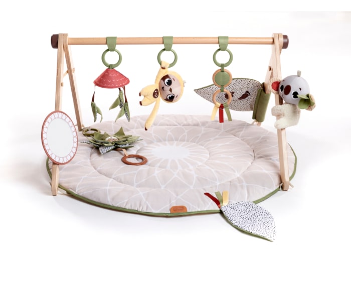 Tiny Love Boho Chic Luxe Developmental Gymini